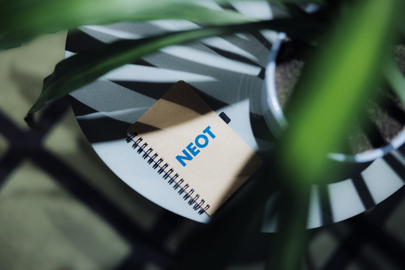 About us - NEOT
